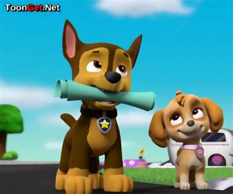 Skye And Chase Paw Patrol Fan Art Fanpop