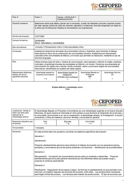 Ejemplo Y Formato Producto Final Pdf Aprendizaje Sociedad