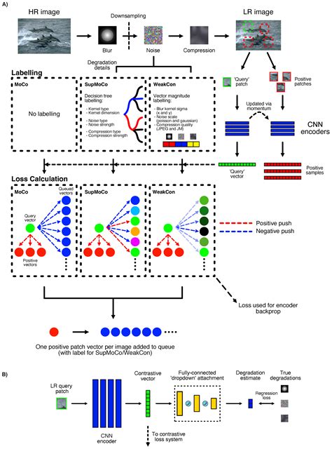 Sensors Free Full Text The Best Of Both Worlds A Framework For