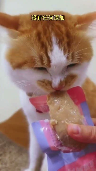 没时间给猫咪煮鸡胸肉的，快试试这个开袋即食的蒸煮鸡胸肉吧！萌宠好物 新手养猫 宠物零食 Youtube