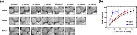 A Microstructures Of Sintered Ag Particles During The Surface Necking