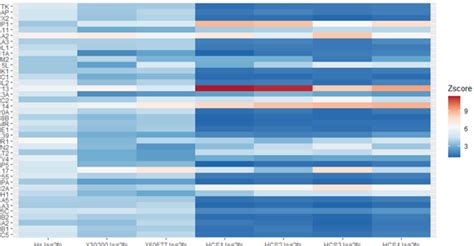 R How Can I Interpret My Heatmap For Gene Analysis Stack Overflow