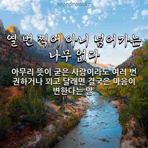 속담 열 번 찍어 아니 넘어가는 나무 없다