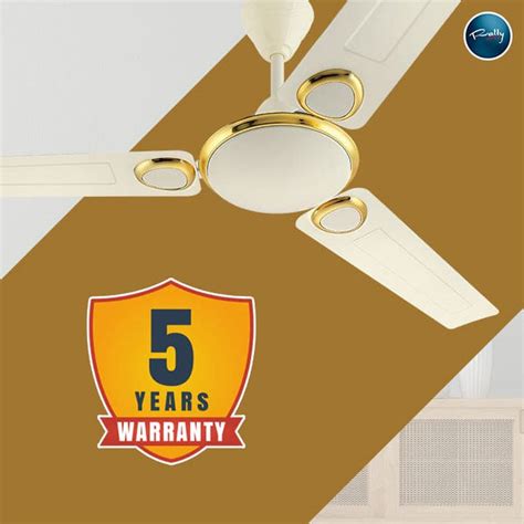 Rally Pluto Dlx Ceiling Fan Best Ceiling Fans For Home