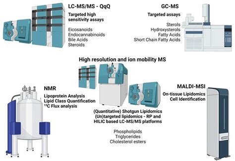 Lipidomics Analysis Services Boc Sciences