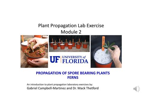 Plant Propagation Lab Exercise Module 2 Docslib