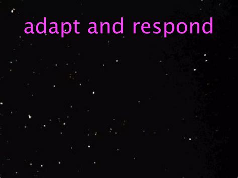 Adapt And Respond Keeping Responsive Into The Future Ppt