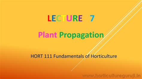 Plant Propagation Ppt Horticulture Guruji