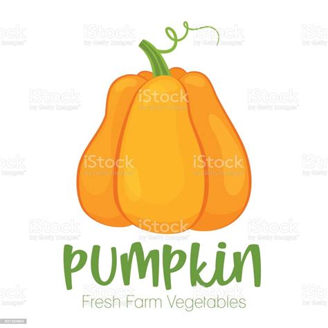 벡터 호박 흰색 배경에 고립입니다 야채 농장 시장 메뉴에 대 한 그림입니다 건강 식품 디자인 포스터입니다 만화 스타일 벡터 일러스트 레이 션 0명에 대한 스톡 벡터 아트 및