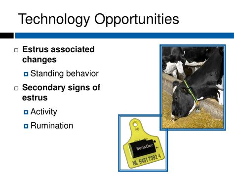 Ppt Estrus Detection Technologies And Their E Conomic I Mplications Powerpoint Presentation