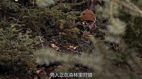 悬疑惊悚片，猎人最终陷落绑匪手里，女人疯狂反击复仇 知乎