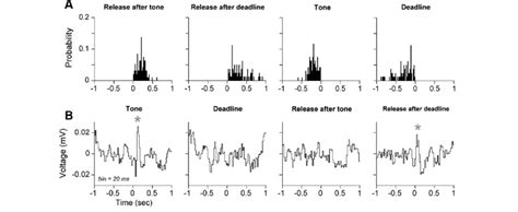 Event Related Potentials Dissociate Stimulus Triggered And Timed