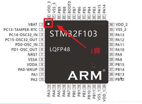 Youngtalk Stm32入门100步 开发环境建立（14 24）stm32入门100步第24步 Csdn博客