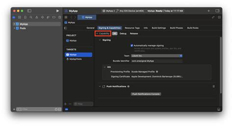 ios sdk setup onesignal