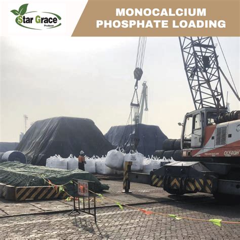 China Mcp Feed Grade Lieferanten Produzent Hersteller Direktpreis