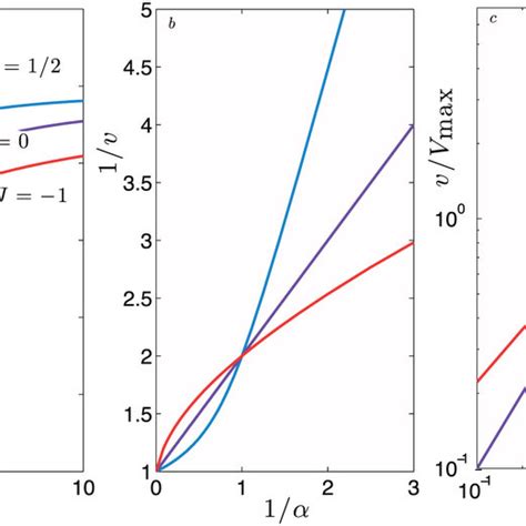 Velocity Of Reactions Versus Substrate Concentration α These Plots Download Scientific Diagram