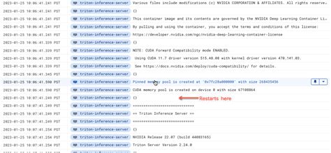 serving large models with ft backend keeps triton server crashing and