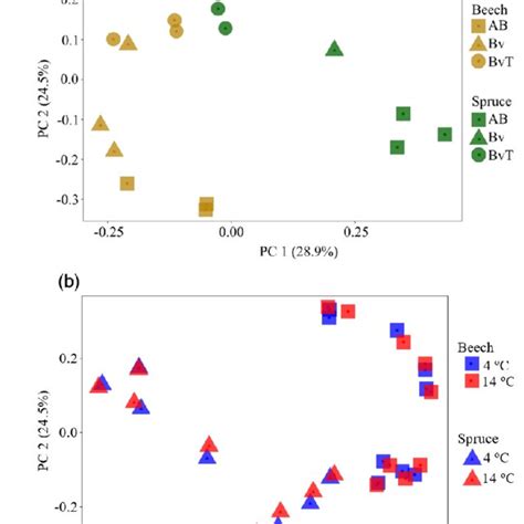 Bacterial Community Composition And Community Structure From Beech And