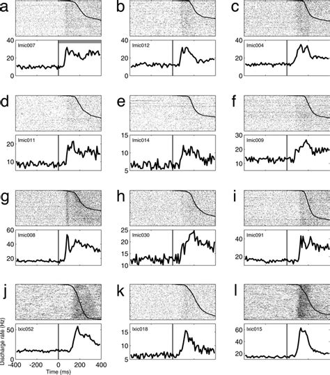 Twelve Additional Example Neurons With Visually Evoked A D F And Download Scientific Diagram