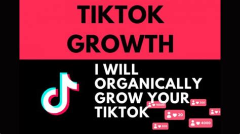 Promote And Grow Tiktok Follower Organic Tik Tok Promotion Growth