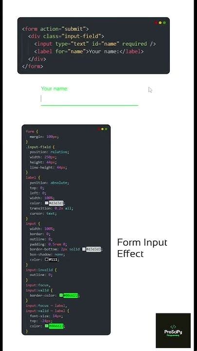 Shake Animation On Invalid Inputs Using Html And Css Shorts Youtube