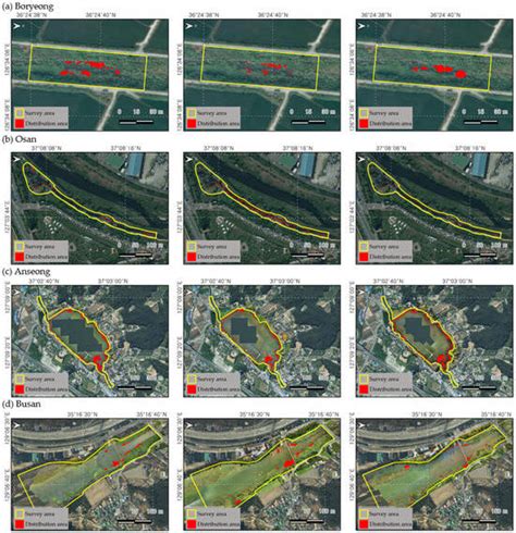 Biology Special Issue Risk Assessment For Biological Invasions
