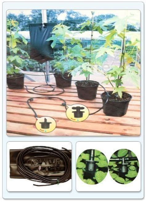 Water Drip System For Plants