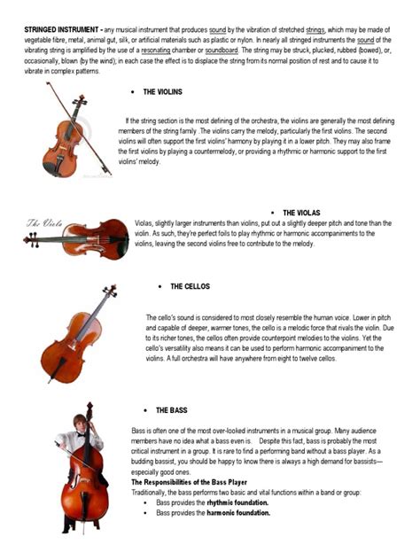Musical Intruments Pdf Violin String Instruments