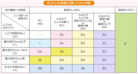 乳がん 道楽日記