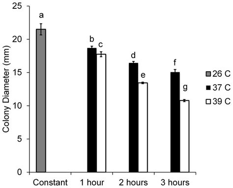 Different Letters Indicate Significant Differences Between Groups