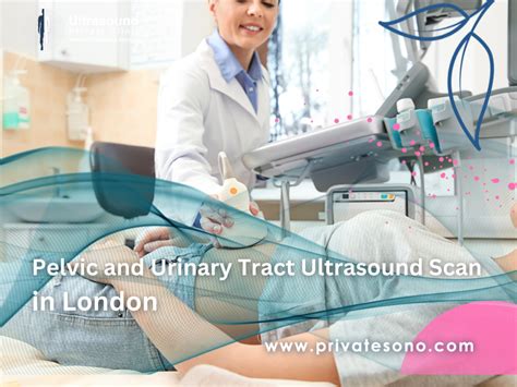 Pelvic And Urinary Tract Ultrasound Scan