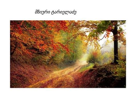 Book Creator ბუნებისმეტყველება