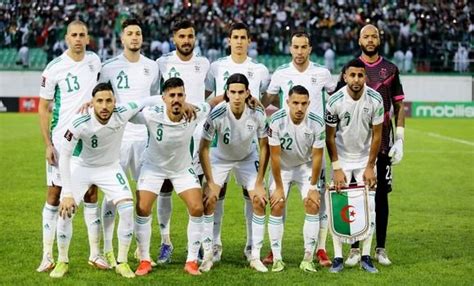 بعد إلغاء ودية الجزائر غامبيا الاتحاد القطري يعلن عن تعويض تذاكر الجماهير