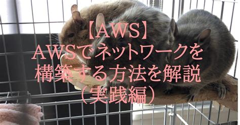 【aws】awsでネットワークを構築する方法を解説！cidrの設定でサブネットを分割しよう hachi system