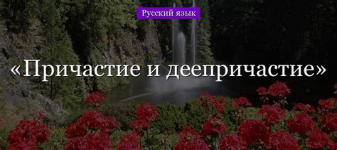Принимавшая причастие или деепричастие Znaniyatop вы сильны как