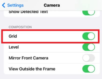 Why Does My Face Look Crooked On IPhone Camera Hollyland