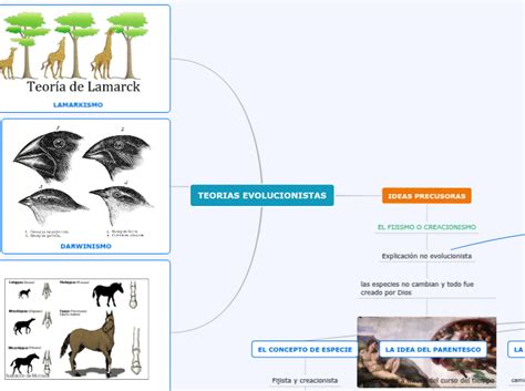 Teorias Evolucionistas Mapa Mental Mindomo