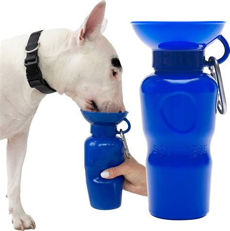 Son Seguras Las Botellas De Pl Stico Para Perros