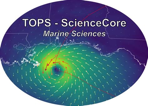 Meet The Team — Marine Sciencecore