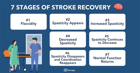 Power Stroke And Recovery Stroke Diagram Stroke Rehab Rehabm