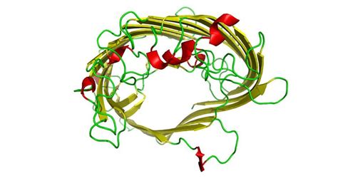 7 The Figure Shows One Chain Of The Sucrose Specific Porin Pdb Download Scientific Diagram