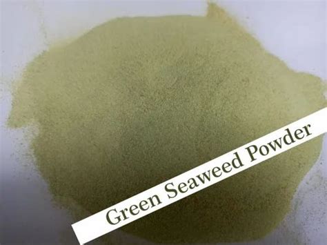 Green Seaweed Powder Bag 25 Kg At ₹ 230kg In Dindori Id 2853730043133