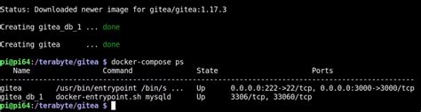 Install Gitea On A Raspberry Pi To Create Your Own Code Repository