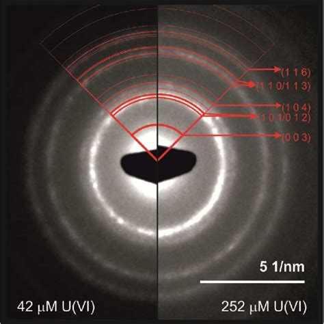 Selected Area Electron Diffraction Images From The 1 Day 42 µm Uvi