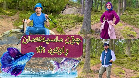 شێركۆ موستەفا جیاوازی ڕاوە ماسی لە نێوان سوید و كوردستان گەشتێكی