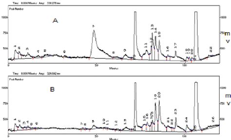 Typical Chromatogram Of Amino Acid Analyzer Of Separated Amino Acids In