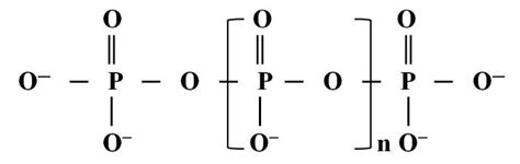 Polyphosphate Là Gì Tìm Hiểu Về Hợp Chất Hóa Học đa Năng Này