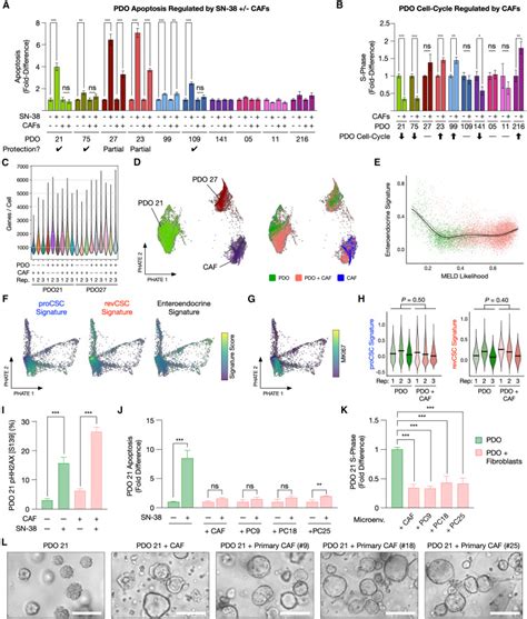 Trellis Tree Based Analysis Reveals Stromal Regulation Of Patient