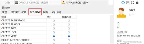 navicat使用oracle（创建库以及用户，详细教程！！！） navicat oracle 创建数据库 csdn博客