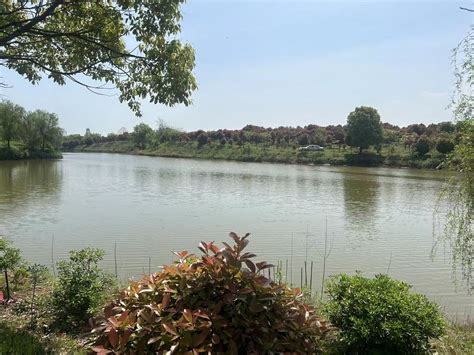 庐江农商银行：林抵贷救急 青山变金山